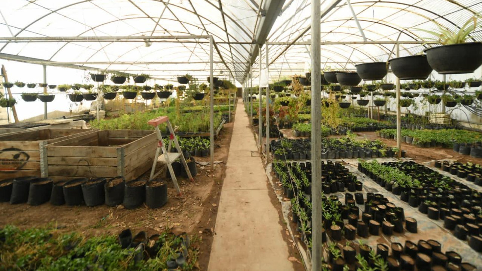 Participa la UACH con proyecto de invernadero en el “Presupuesto ...