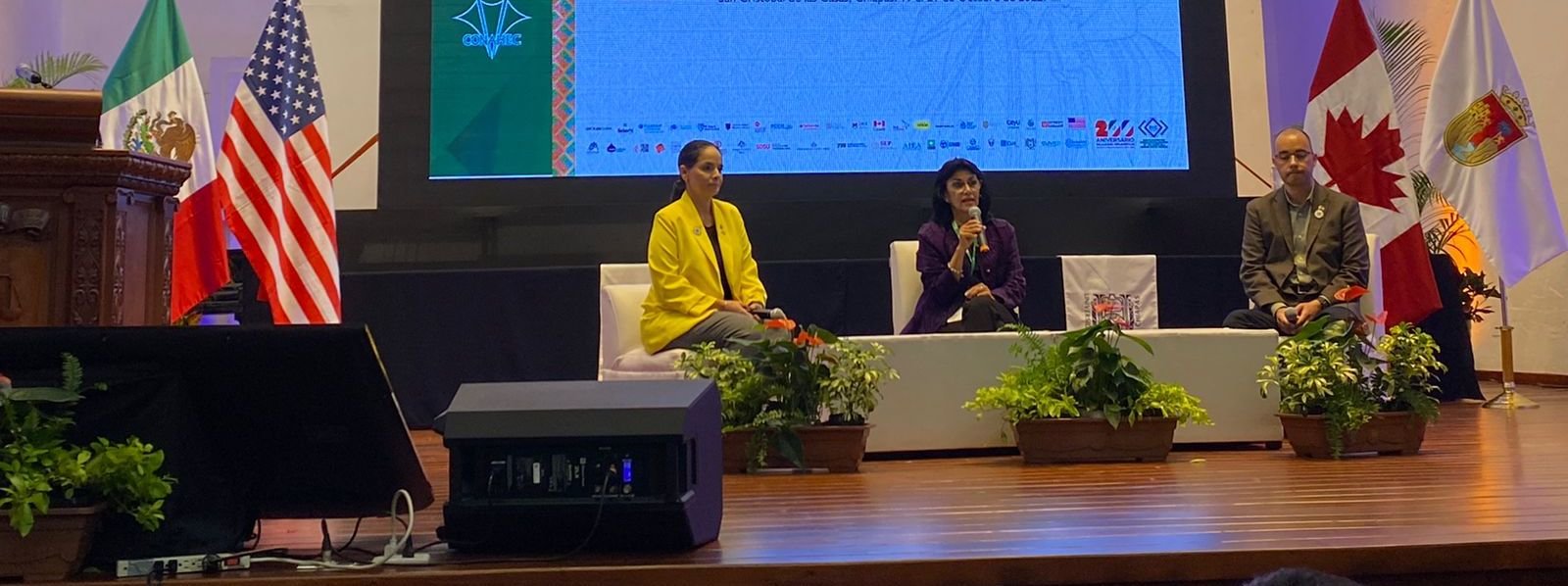 Facultad de Economía Internacional